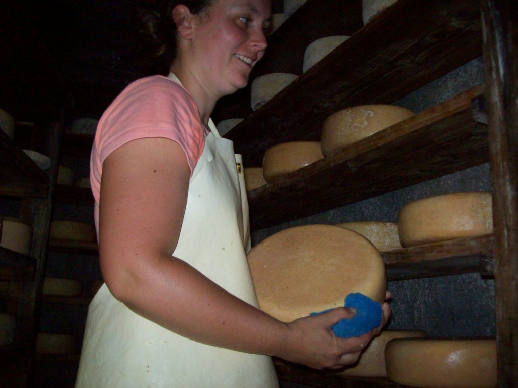 Quelle différence entre fromage de brebis fermier, artisanal et ...